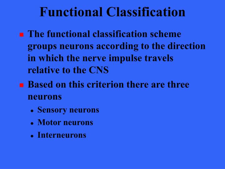 PPT - Fundamentals of the Nervous System and Nervous Tissue PowerPoint ...