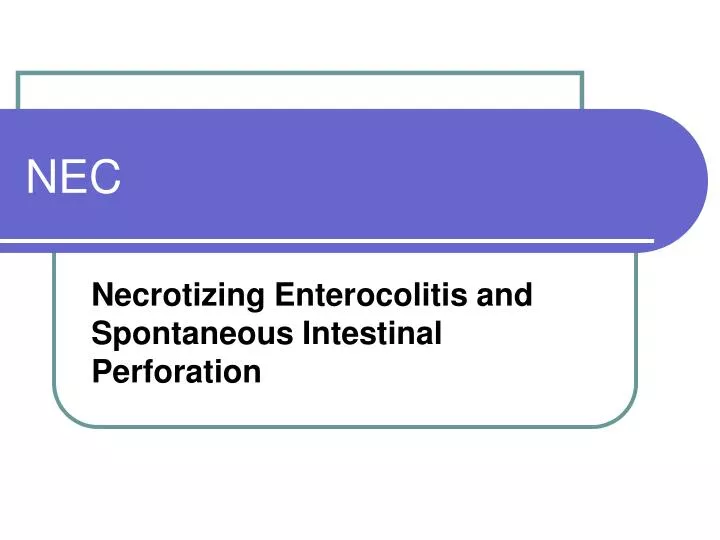 PPT - NEC PowerPoint Presentation, free download - ID:457091