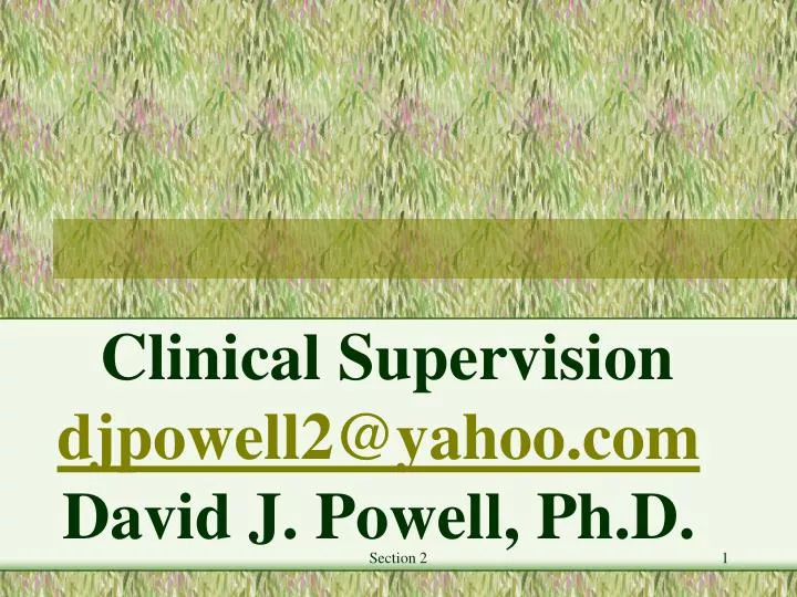 PPT - Clinical Supervision djpowell2@yahoo David J. Powell, Ph.D ...