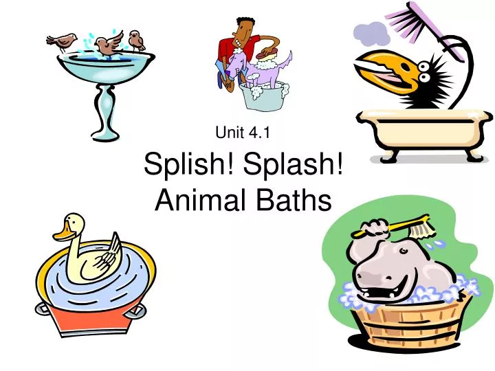 PPT - Unit 4.1 Splish! Splash! Animal Baths PowerPoint Presentation ...