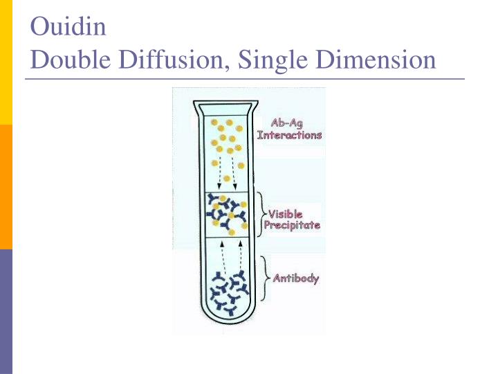 PPT - 2. Basic Immunologic Procedures PowerPoint Presentation - ID:457890