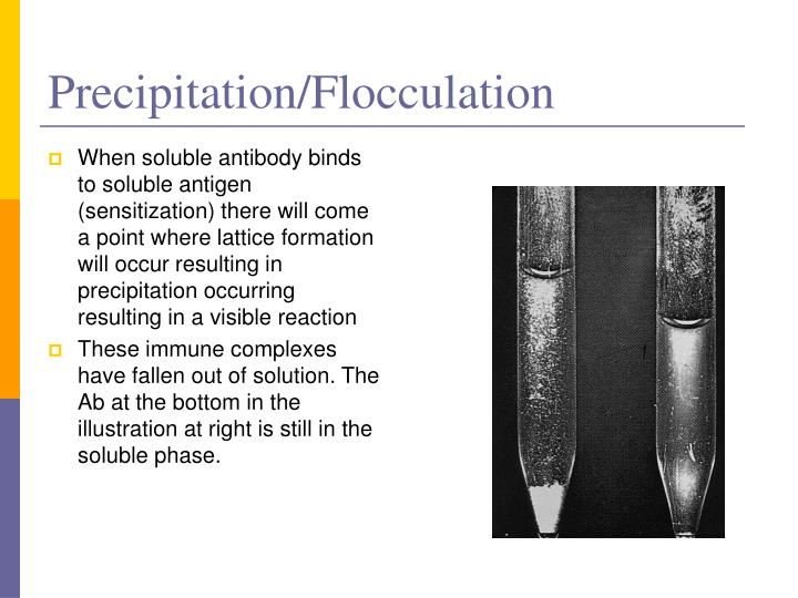 PPT - 2. Basic Immunologic Procedures PowerPoint Presentation - ID:457890