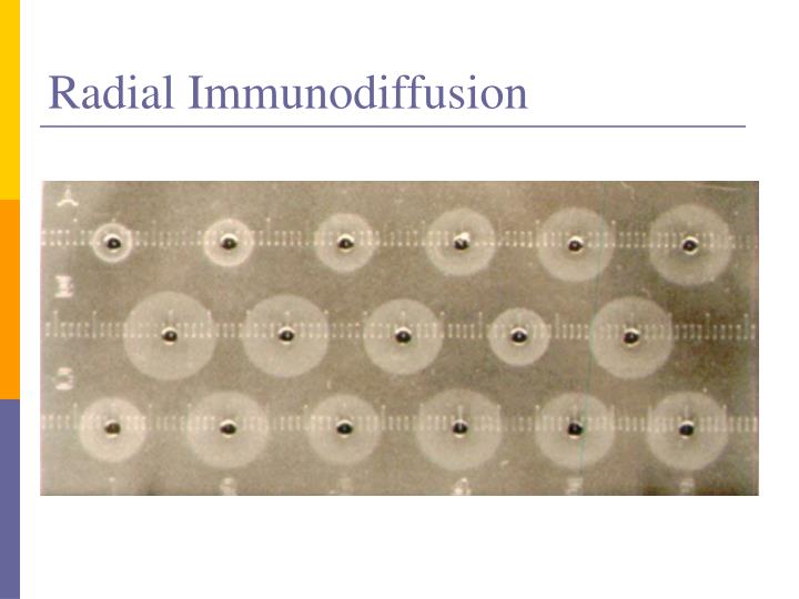 PPT - 2. Basic Immunologic Procedures PowerPoint Presentation - ID:457890