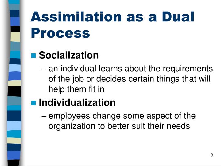 PPT - Assimilation Processes PowerPoint Presentation - ID:458052