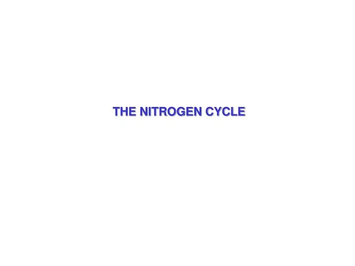 PPT - THE NITROGEN CYCLE PowerPoint Presentation, free download - ID:458309