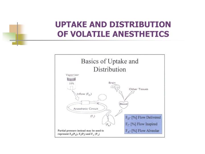 PPT - UPTAKE AND DISTRIBUTION OF VOLATILE ANESTHETICS PowerPoint ...
