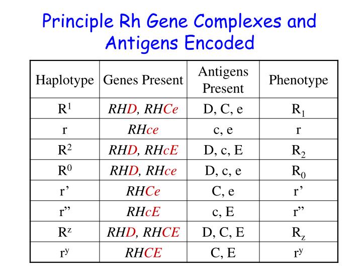 PPT - CLS 3311 Advanced Clinical Immunohematology PowerPoint ...