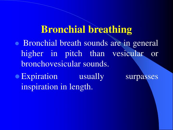 PPT - The boundary of lung and pleura PowerPoint Presentation - ID:458841