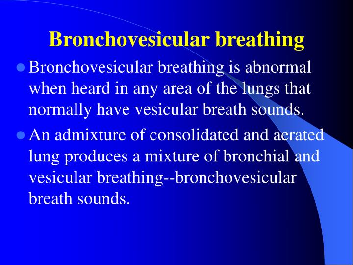 PPT - The boundary of lung and pleura PowerPoint Presentation - ID:458841