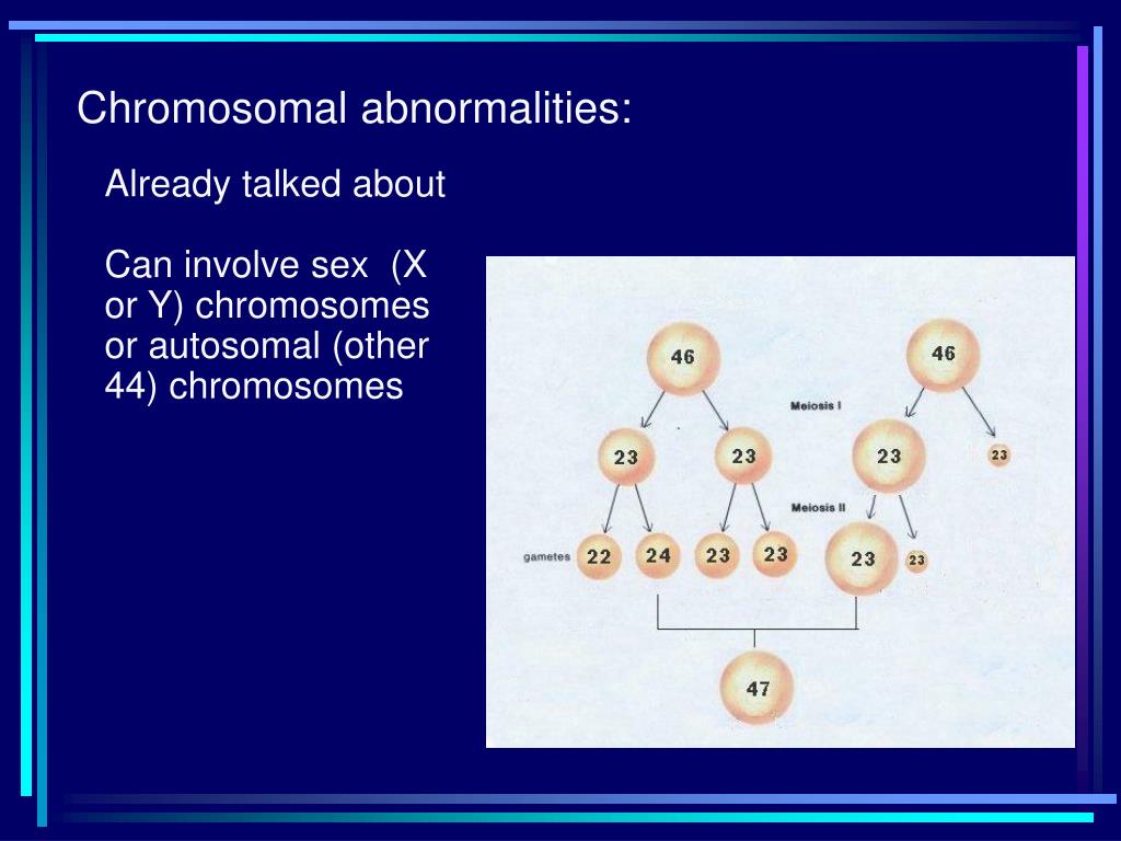 Ppt Human Reproduction Biology 269 Powerpoint Presentation Free
