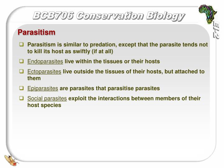 PPT - Ecology Primer: Biological Interactions PowerPoint Presentation ...