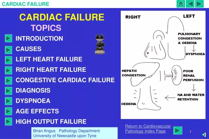 PPT - CARDIAC FAILURE PowerPoint Presentation, free download - ID:459349