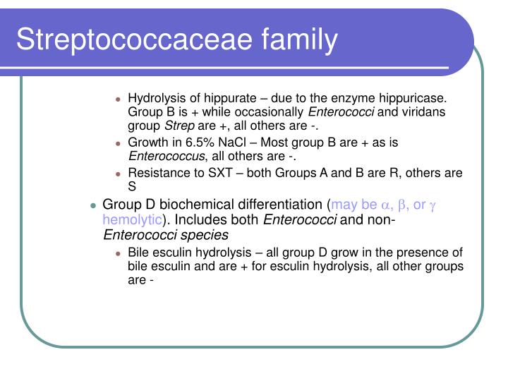 PPT - Streptococcaceae PowerPoint Presentation - ID:459368