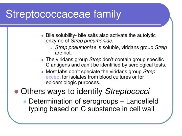 PPT - Streptococcaceae PowerPoint Presentation - ID:459368