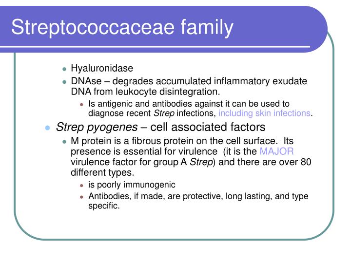 PPT - Streptococcaceae PowerPoint Presentation - ID:459368