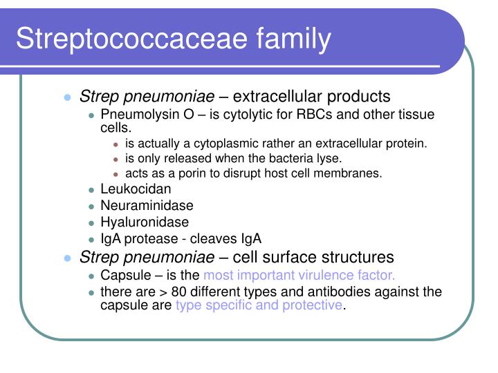 PPT - Streptococcaceae PowerPoint Presentation - ID:459368