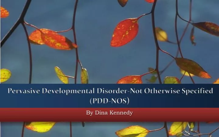 PPT - Pervasive Developmental Disorder-Not Otherwise Specified (PDD-NOS ...