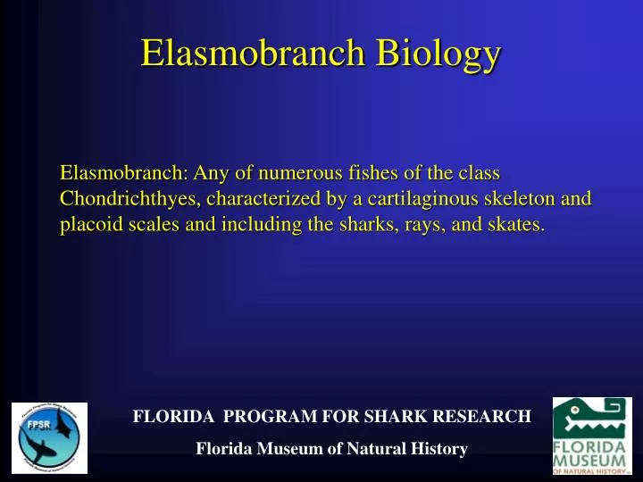 PPT - Elasmobranch Biology PowerPoint Presentation, free download - ID ...