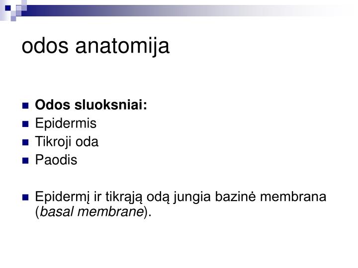 PPT - odos ir jos priedų sandara PowerPoint Presentation - ID:460338