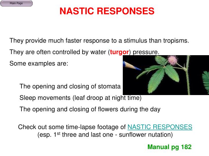 PPT - Contents: Environment Plant Movements Phototropism Tropism ...