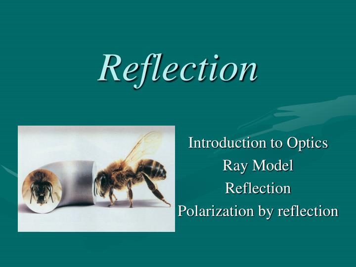 PPT - Reflection PowerPoint Presentation, free download - ID:461631