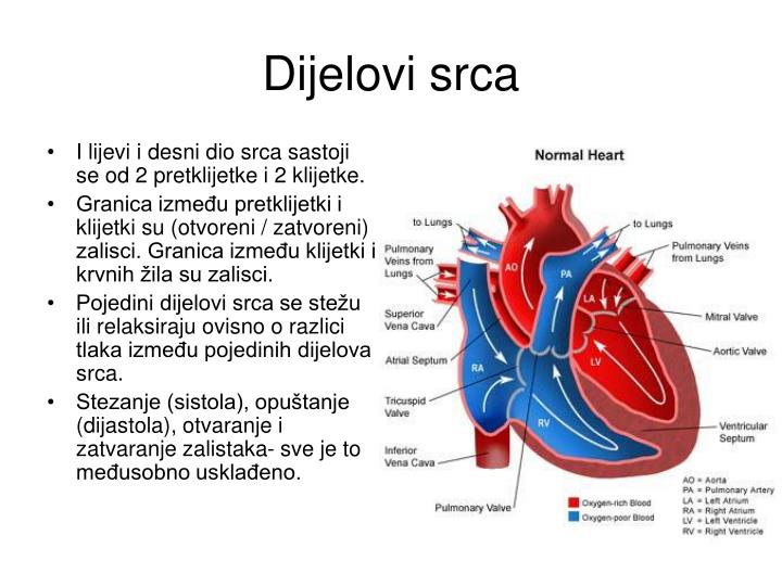 PPT - Čovjek je biološko, društveno, stvaralačko i duhovno biće Moralne ...