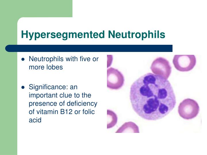 PPT - FULL BLOOD COUNT PRESENTATION Clinical Practice A PowerPoint ...