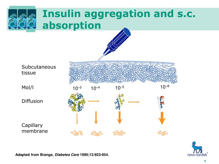 PPT - Introducing insulin detemir PowerPoint Presentation - ID:463180