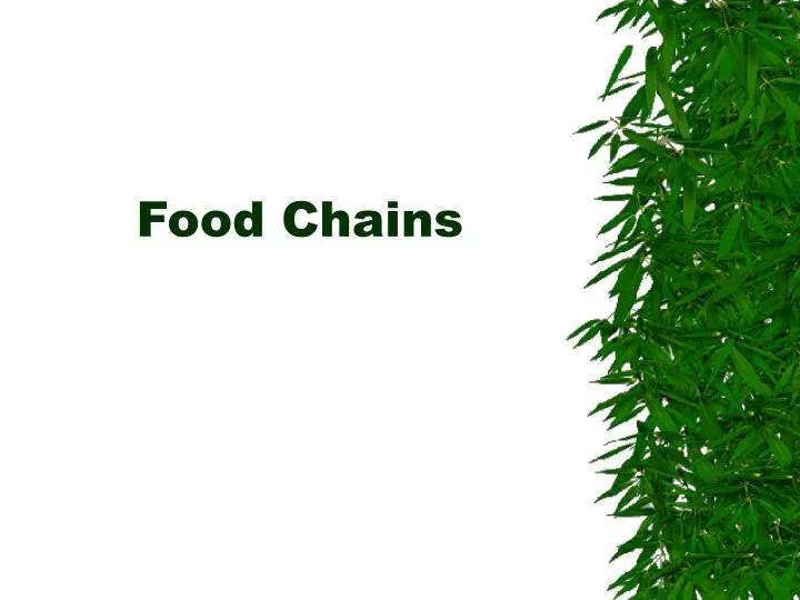PPT - Food Chains PowerPoint Presentation, free download - ID:464178