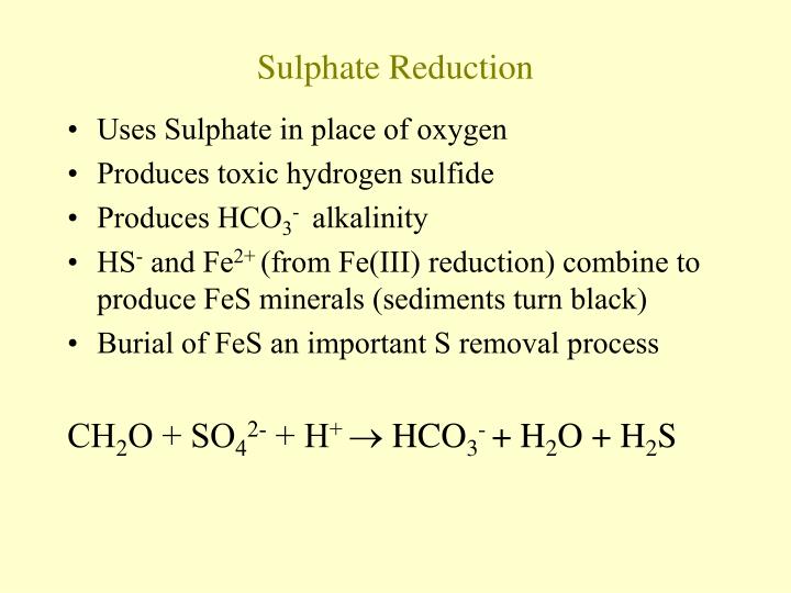 PPT - Chemical Oceanography PowerPoint Presentation - ID:464215