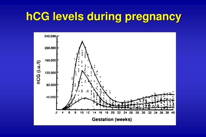 PPT - PREGNANCY PROTEINS PowerPoint Presentation - ID:466355