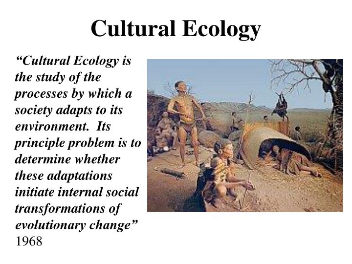 PPT - Neo-Evolutionism and Cultural Ecology PowerPoint Presentation ...