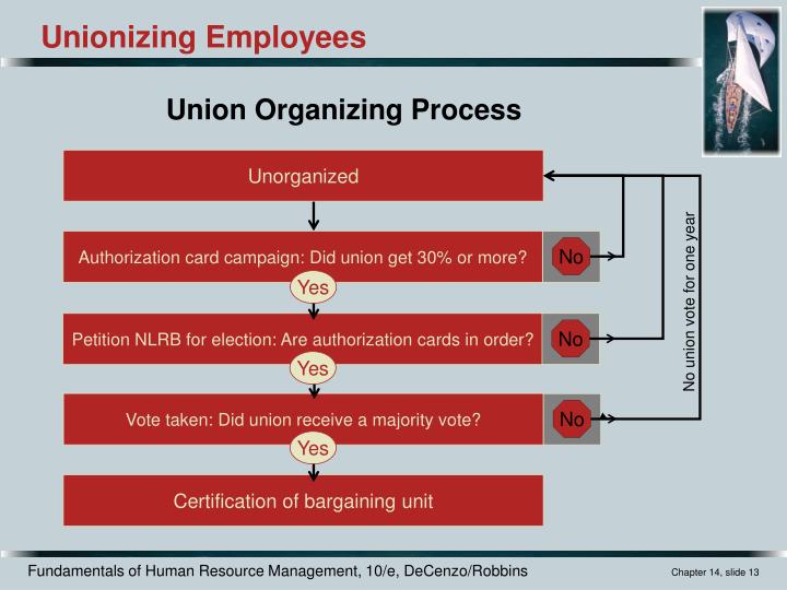 PPT - Chapter 14 PowerPoint Presentation - ID:466483