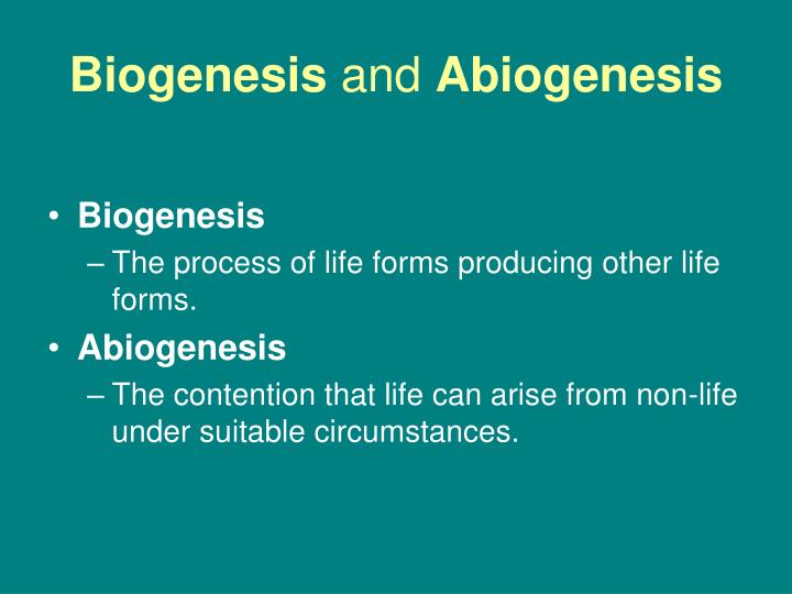 PPT - Spontaneous Generation PowerPoint Presentation - ID:466591