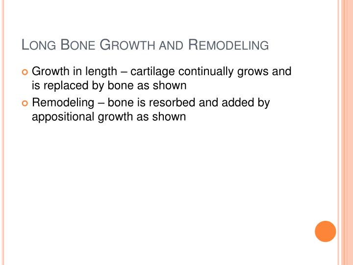 PPT - Chapter 6 Bone and Skeletal Tissue PowerPoint Presentation - ID ...