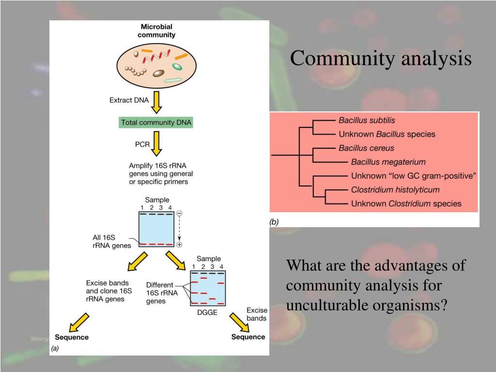 PPT - Environmental Microbiology Introduction PowerPoint Presentation ... PPT - Environmental Microbiology Introduction PowerPoint Presentation ...