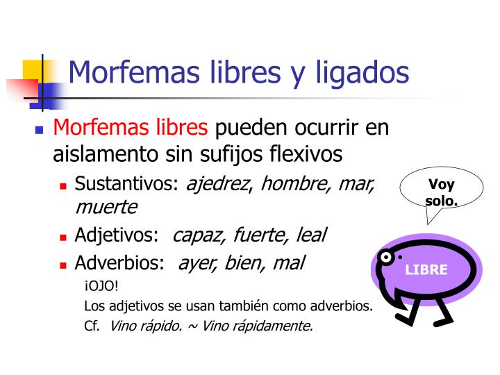 PPT - MORFOLOGÍA: La estructura de la palabra PowerPoint Presentation ...