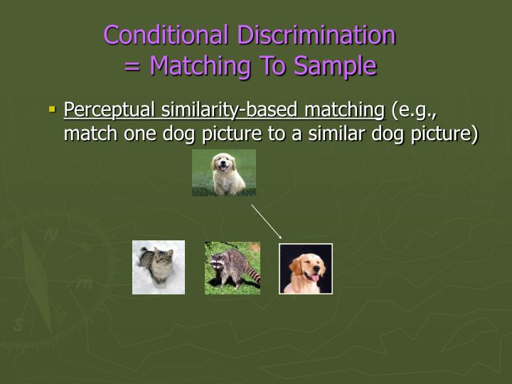 PPT - Stimulus Control Advanced Applied Behavior Analysis Presentation ...