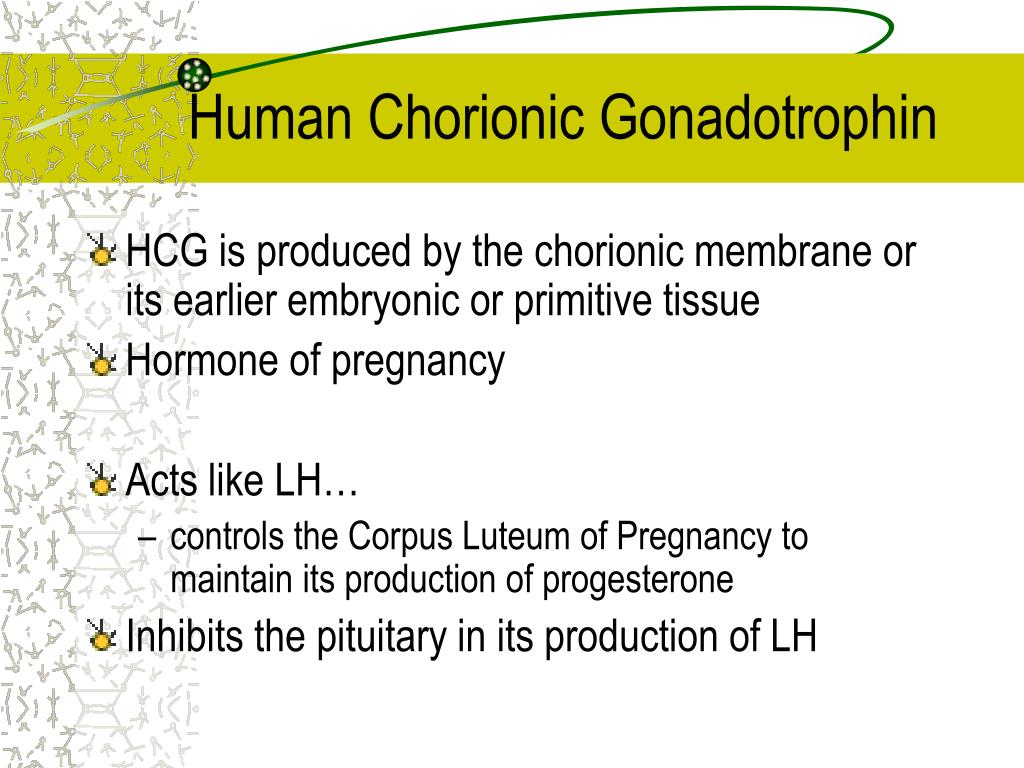 PPT - Female Reproductive Cycle PowerPoint Presentation, free download ... PPT - Female Reproductive Cycle PowerPoint Presentation, free download ...