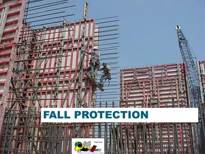 PPT - FALL PROTECTION PowerPoint Presentation, free download - ID:467843