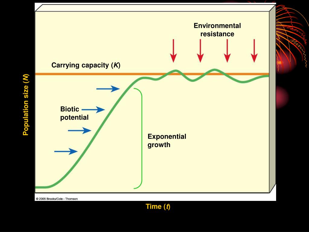 PPT AP Environmental Science Population Dynamics Carrying Capacity PPT AP Environmental Science Population Dynamics Carrying Capacity
