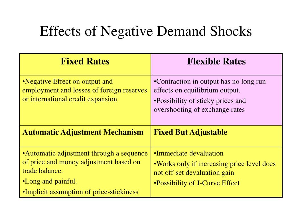 PPT - INTERNATIONAL MACROECONOMICS SEMINAR I “The Choice of an ...