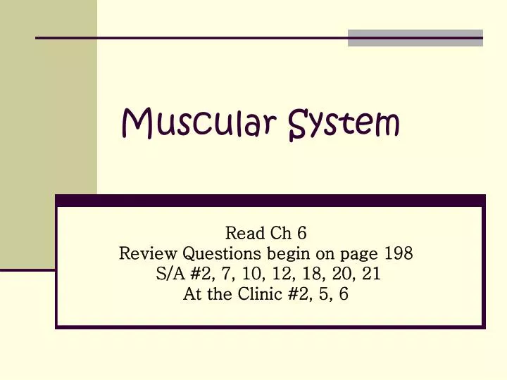 PPT - Muscular System PowerPoint Presentation, free download - ID:468588