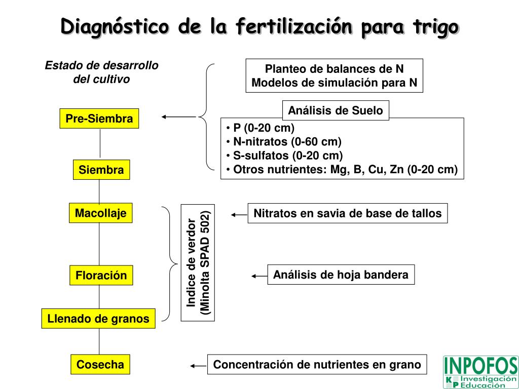 PPT - Balance de nutrientes y necesidades de fertilización del cultivo ...