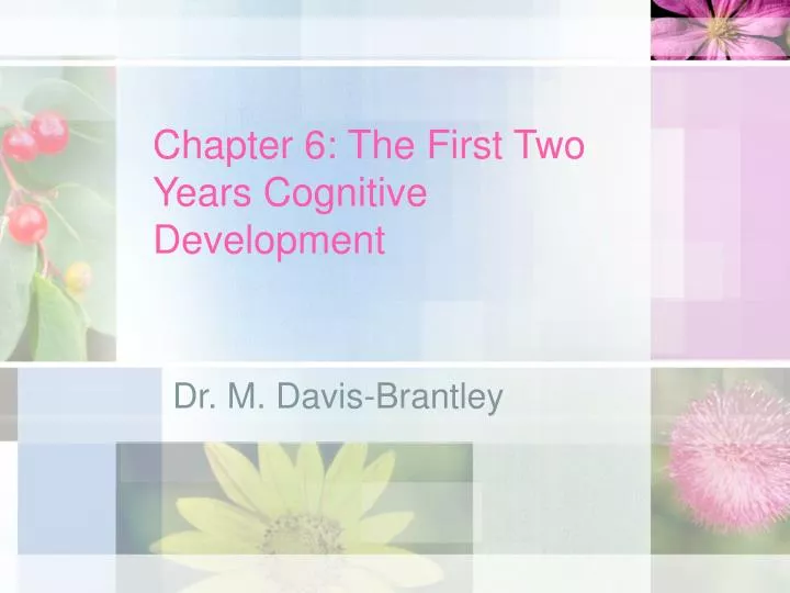 PPT - Chapter 6: The First Two Years Cognitive Development PowerPoint Presentation - ID:470213