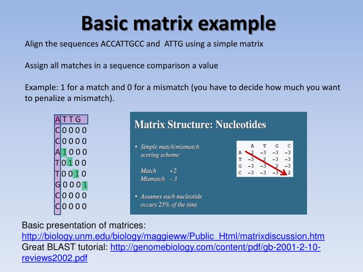 PPT - Homework is at the end!!!! PowerPoint Presentation - ID:470280