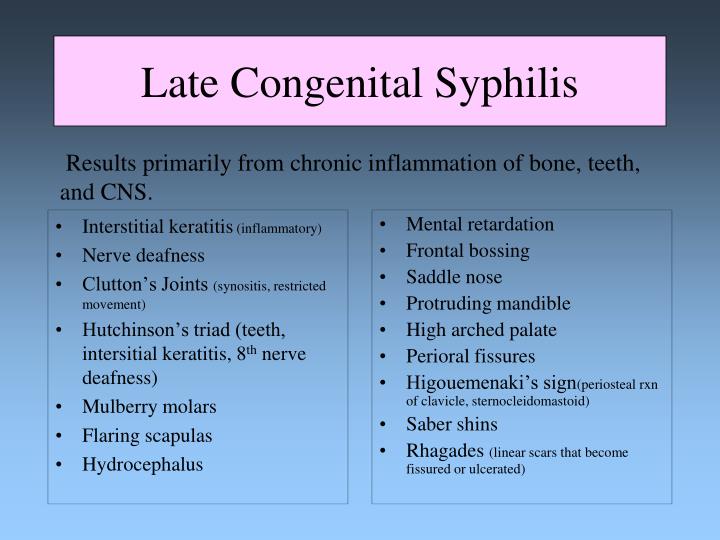 PPT - CONGENITAL SYPHILIS PowerPoint Presentation - ID:470690