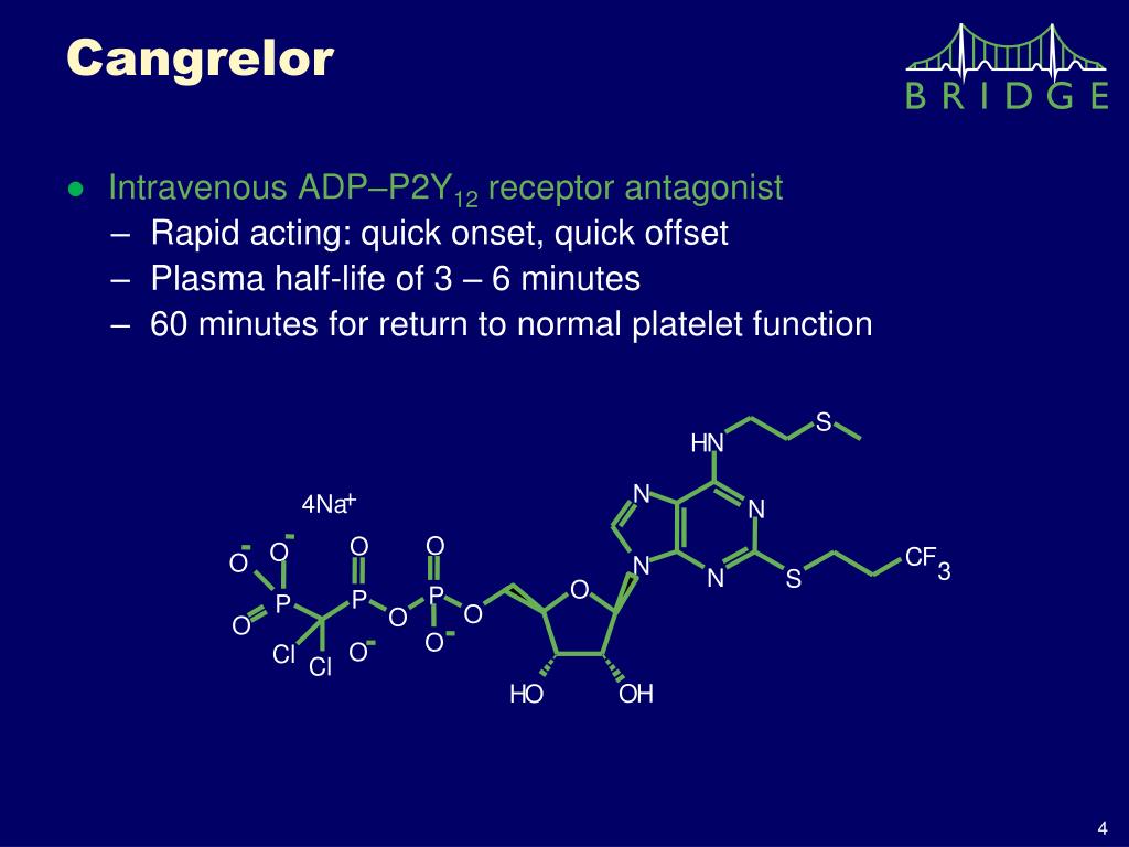 PPT - The Safety and Efficacy Of Cangrelor, a Short Acting, IV ...