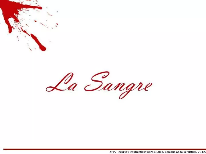 PPT - La sangre PowerPoint Presentation, free download - ID:471356
