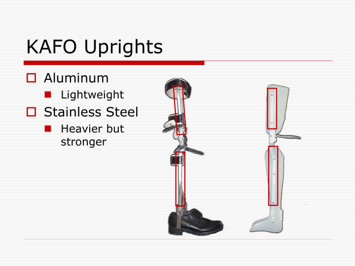 PPT - ORTHOTIC SYSTEMS PowerPoint Presentation - ID:471433